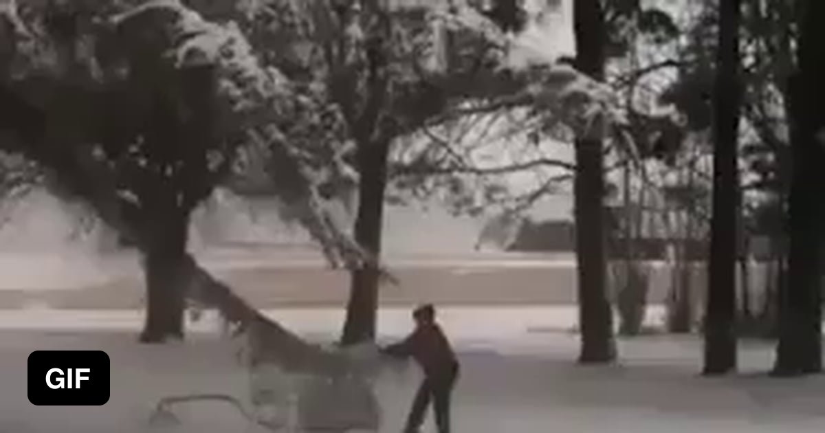 Man vs Tree - 9GAG