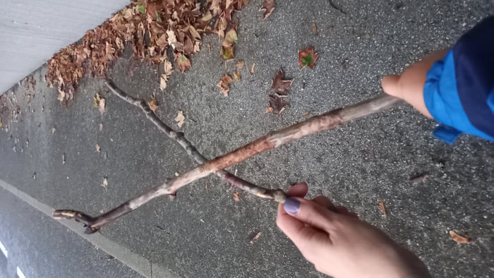 Look at our sticks - 9GAG