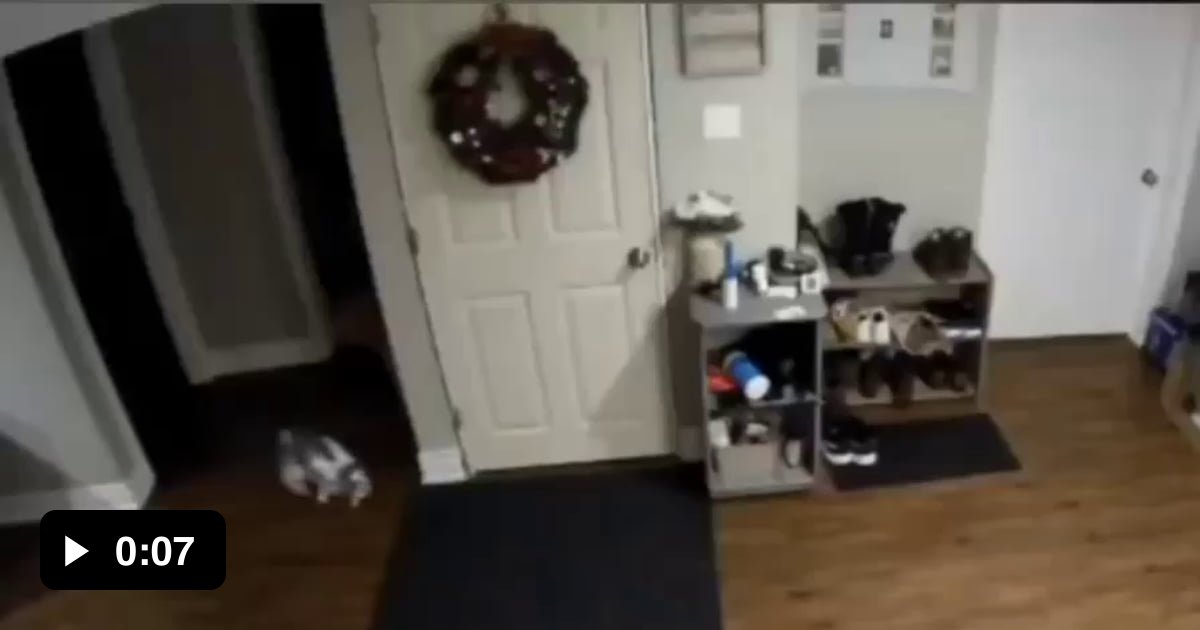 Surprise butt attack - 9GAG