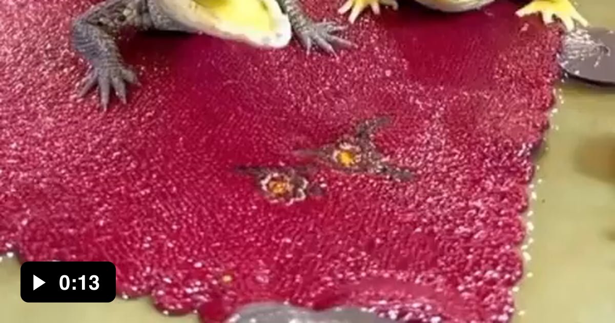 Big streeeeeetchy boi - 9GAG