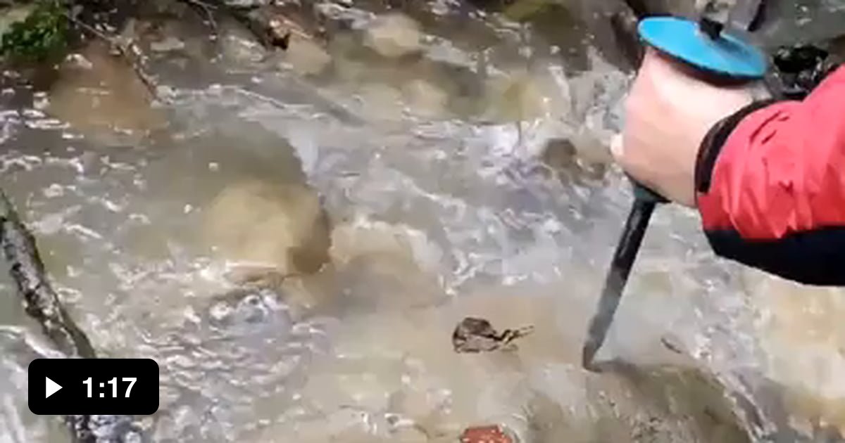 Hey! You ever seen a geologist find a fossil in the middle of a creek ...