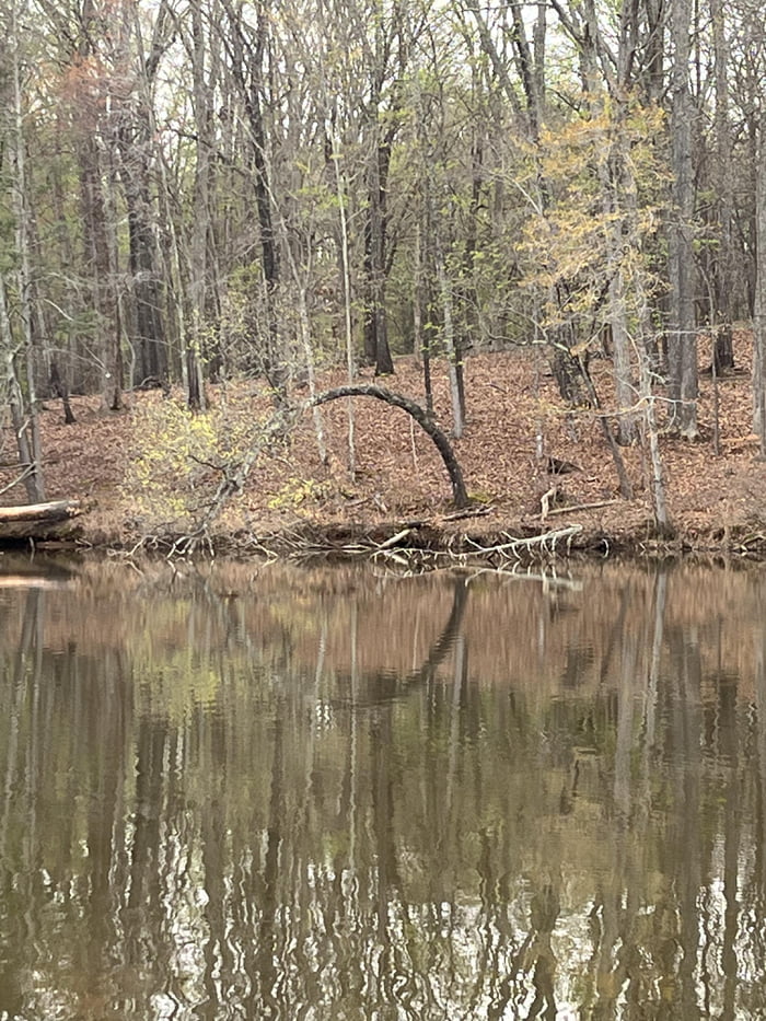 The way the reflection makes a perfect circle… - 9GAG