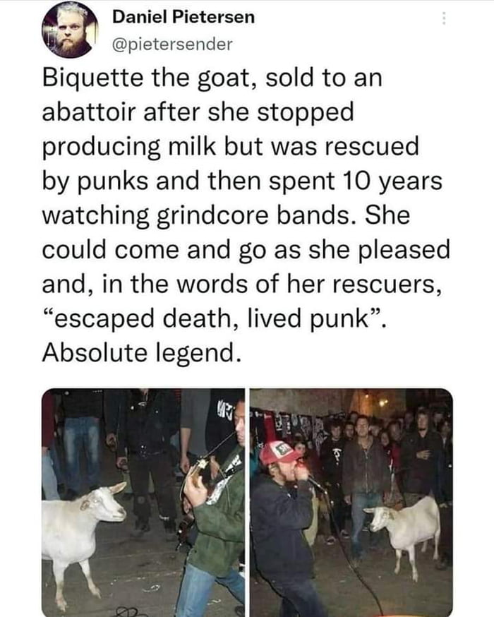 The GOAT - 9GAG