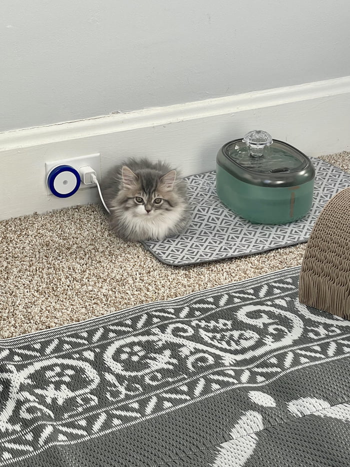 Don’t forget to charge your kittens - 9GAG