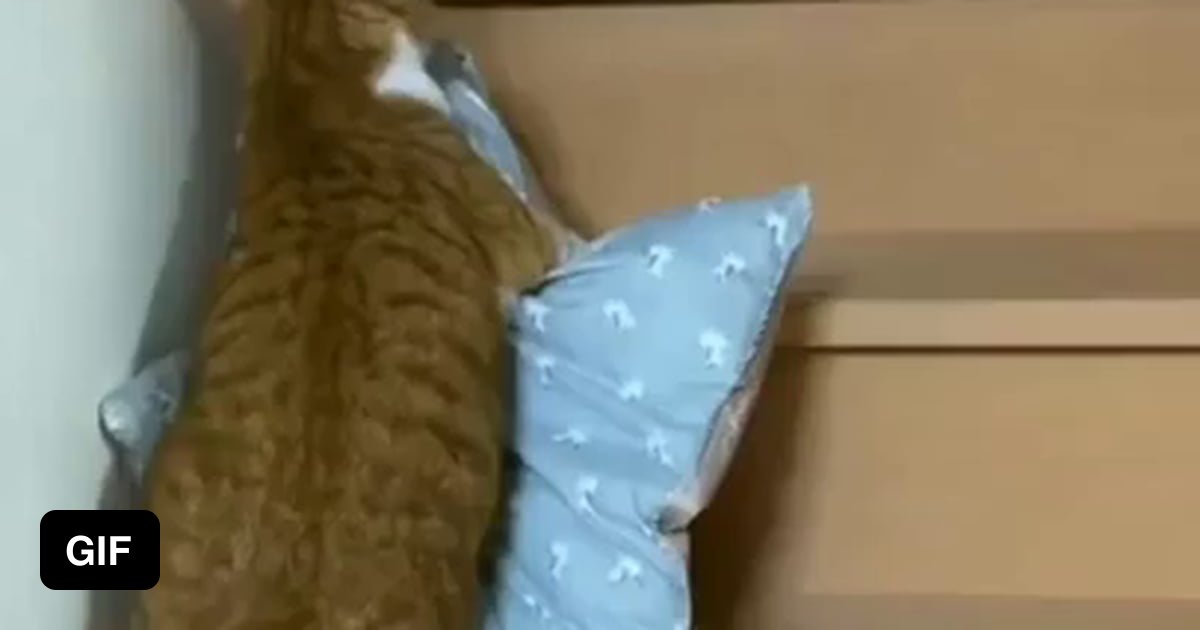 Time to sleep - 9GAG