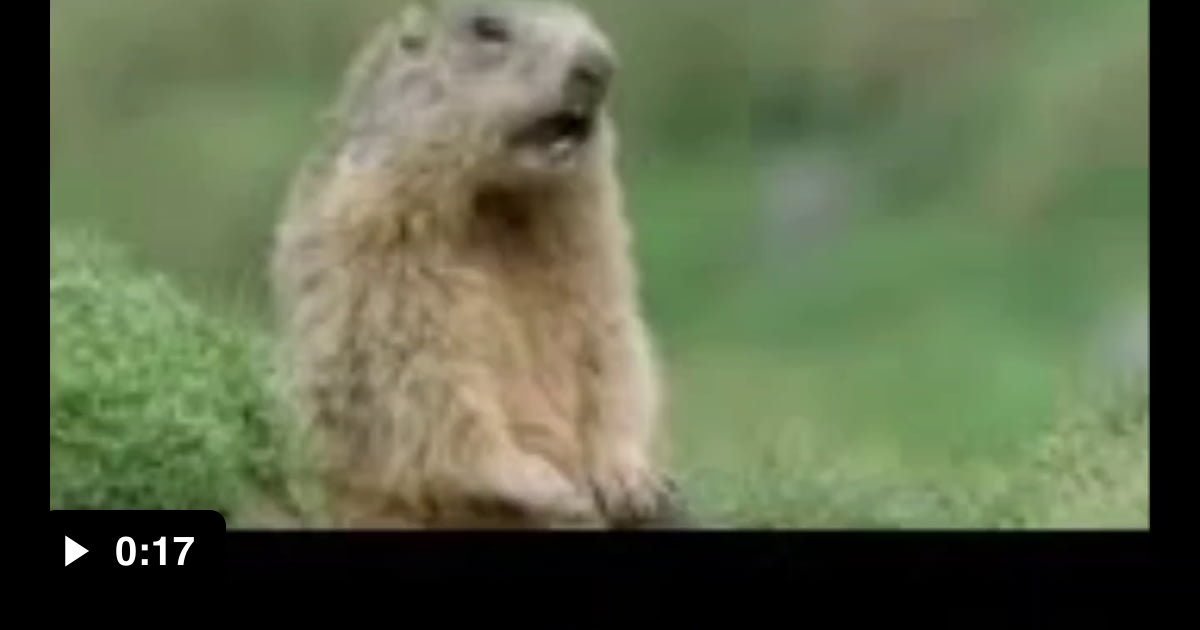 There're still some pixels left... - 9GAG