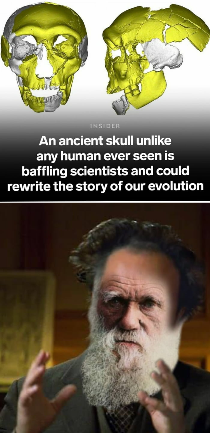Evolution is a psyop bro - 9GAG