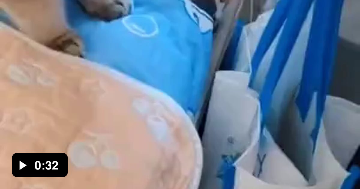 Satisfaction from a predetermined ending - 9GAG