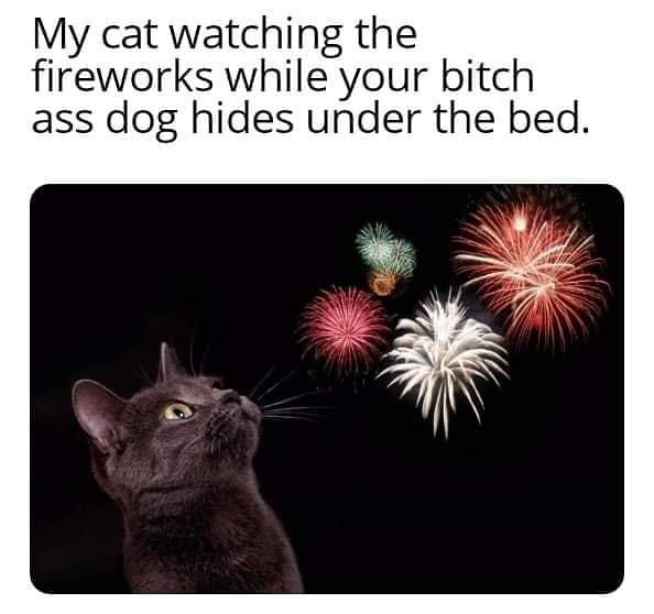 Got a lot of fireworks this year! - 9GAG