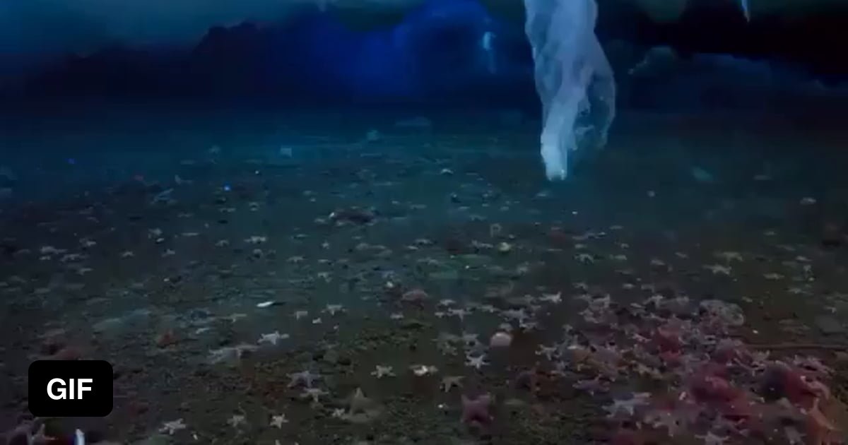 Brinicles are underwater icicles that form when supercooled sea water ...