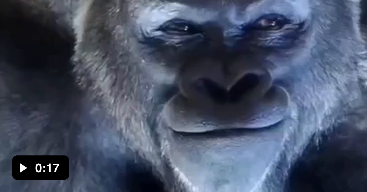 What's he/she plotting? - 9GAG