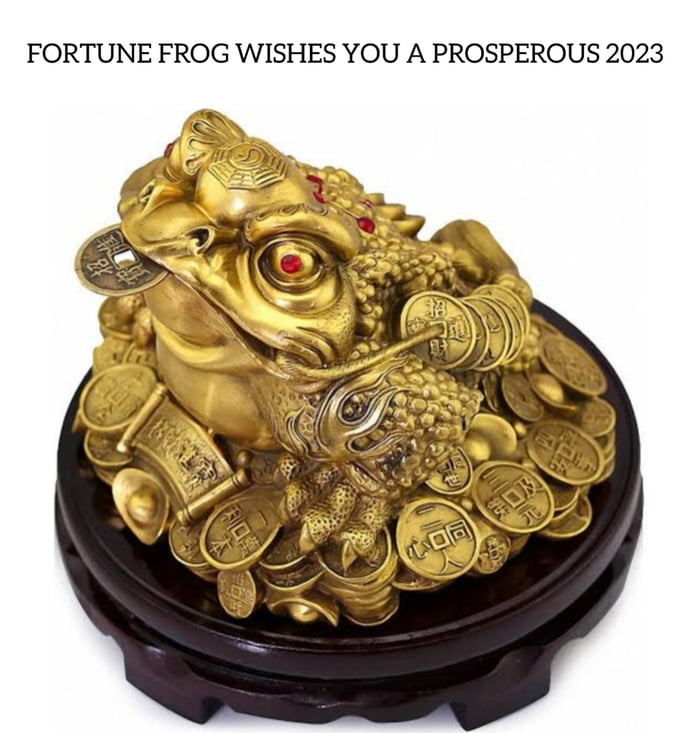 First frog day! - 9GAG