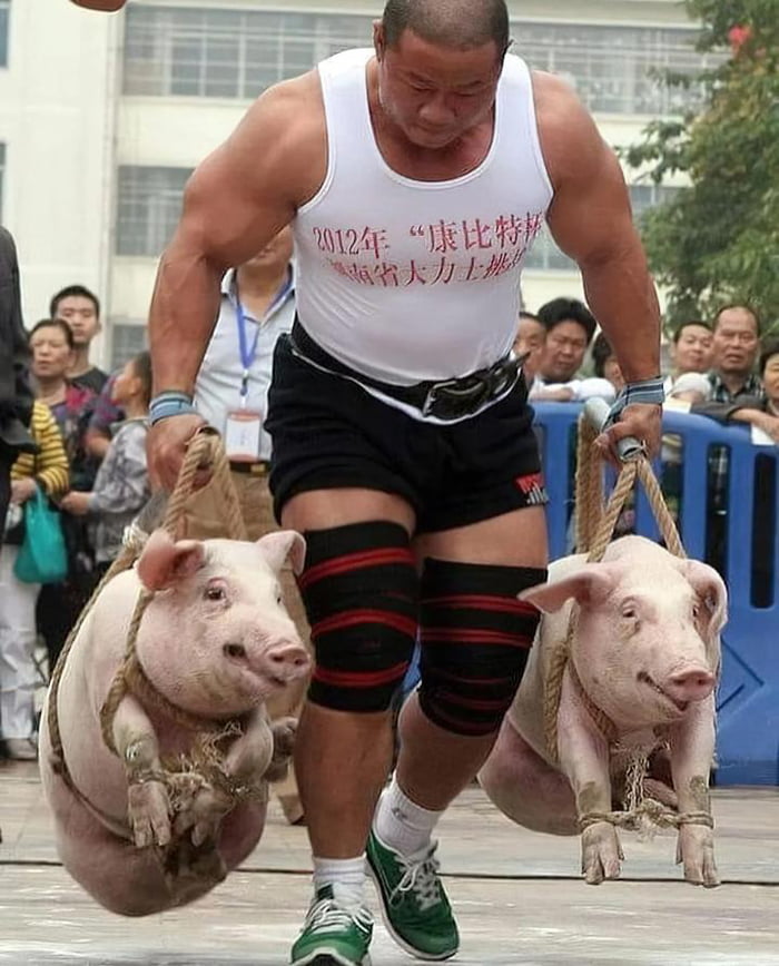 Todd, the bacon Fetcher - 9GAG