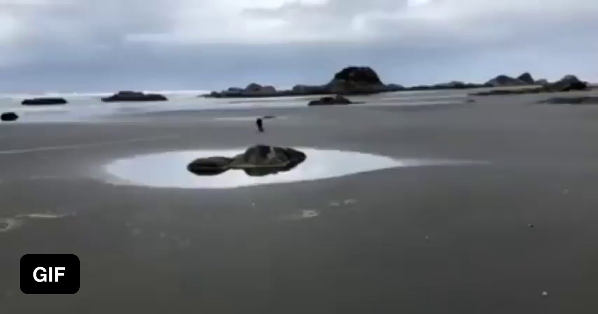 Deceptive Puddle - 9GAG