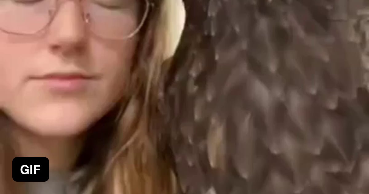 The way of an eagle - 9GAG