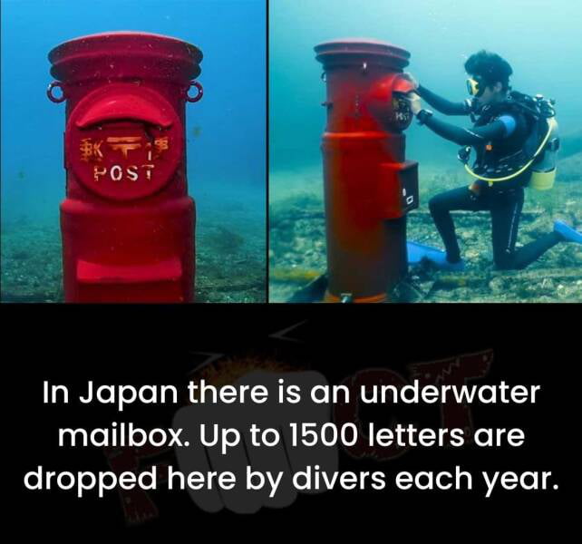 Mermaids have to mail things too - 9GAG