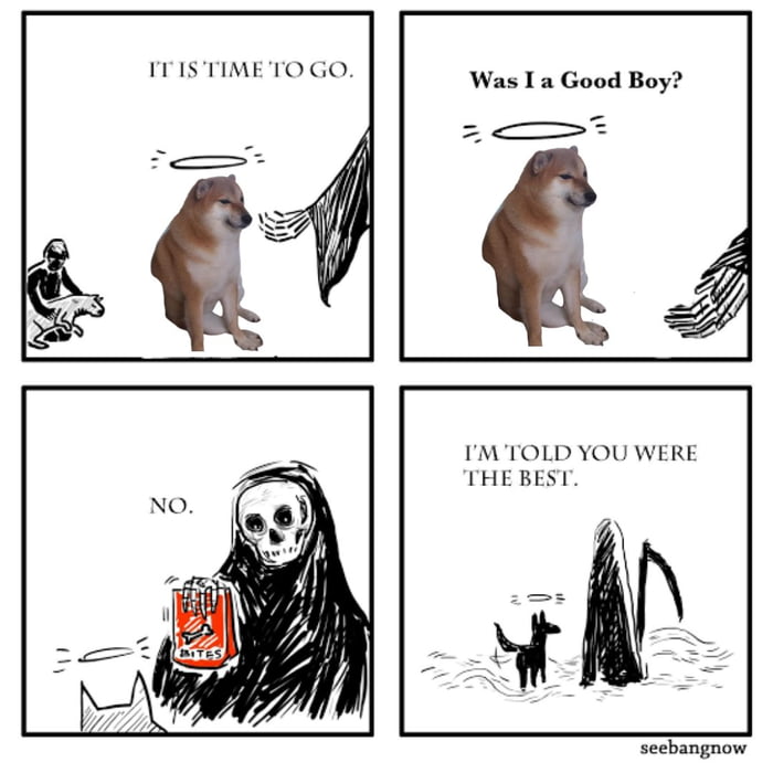 The Famous Meme Dog Cheems has passed away. - 9GAG