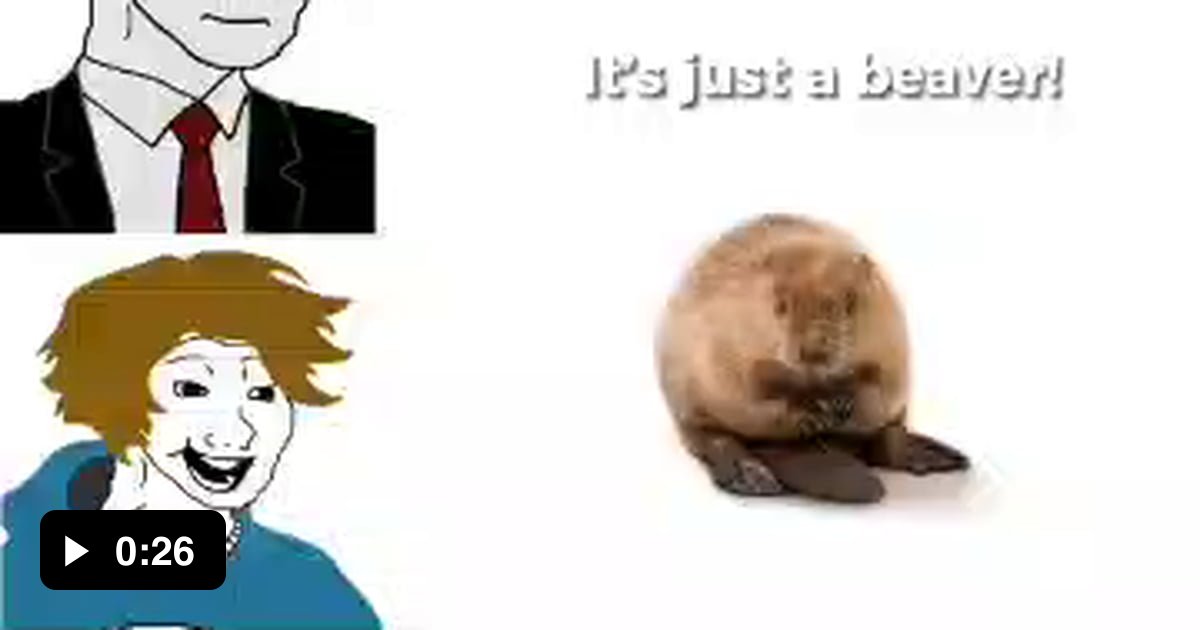 Beaver 🦫 - 9GAG