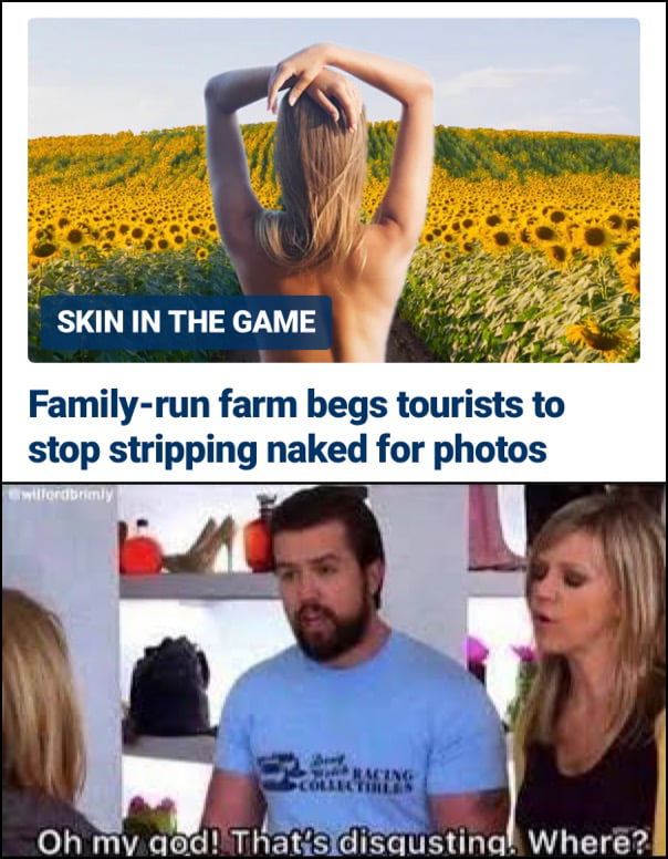 Going to buy some land and sunflower seeds - 9GAG