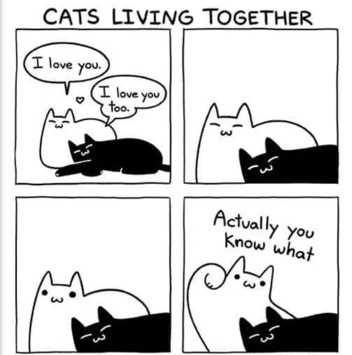 Just cats - 9GAG