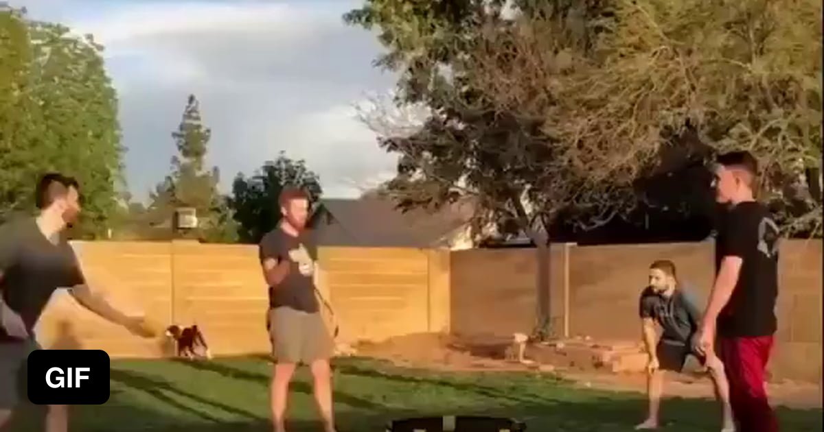 This dog in the background playing with the shadow of the ball - 9GAG