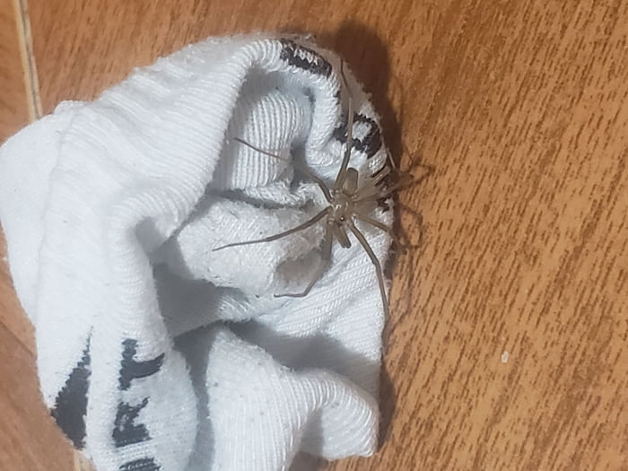 Time to call hanz - 9GAG