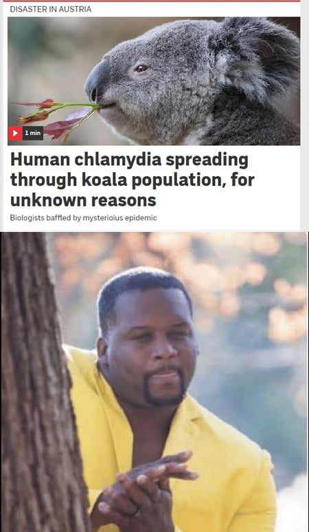 Insert funny title here - 9GAG