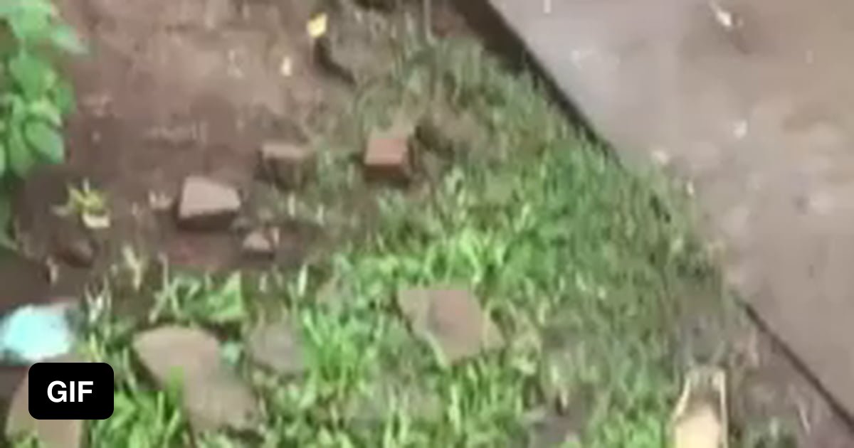 Bloodshed is imminent - 9GAG