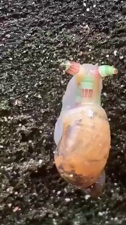 Just a zombie slug - 9GAG