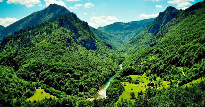Perućica Rainforest In Bosnia And Herzegovina Is The Only Known ...
