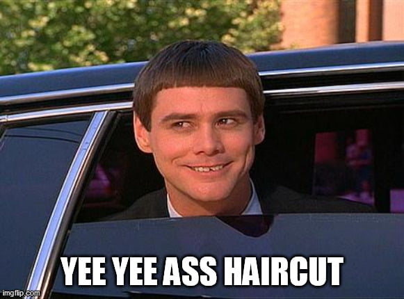 How to describe "Yee Yee Ass Haircut"using meme. - 9GAG