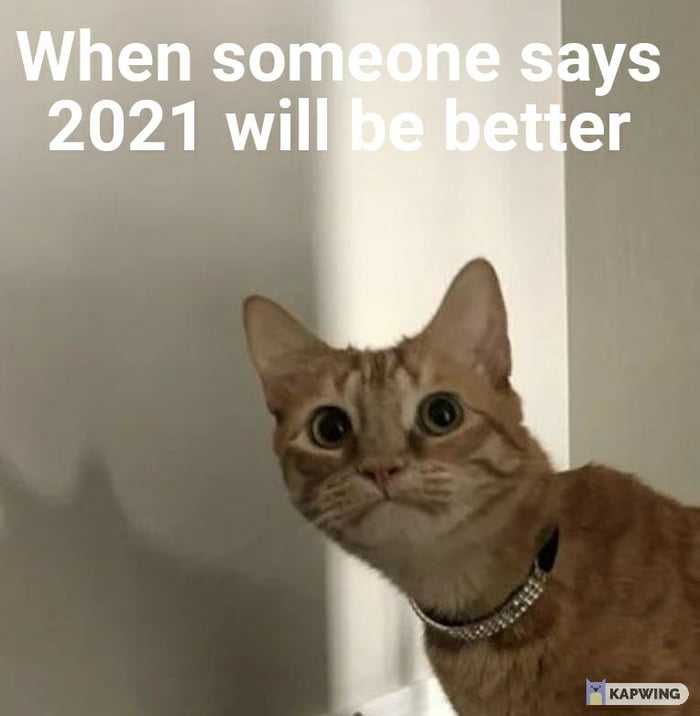 Doubtful Kitty - 9GAG