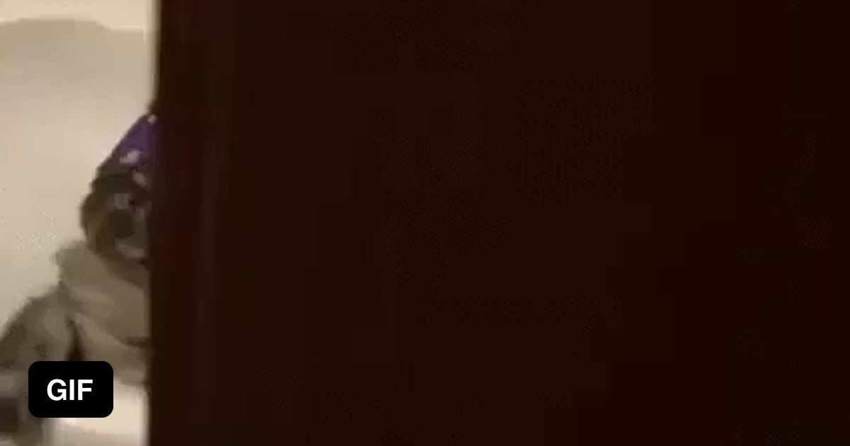 There are some who call me ... Tim - 9GAG