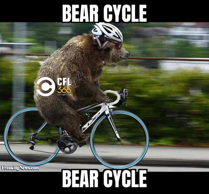 We're in the bear cycle now - 9GAG