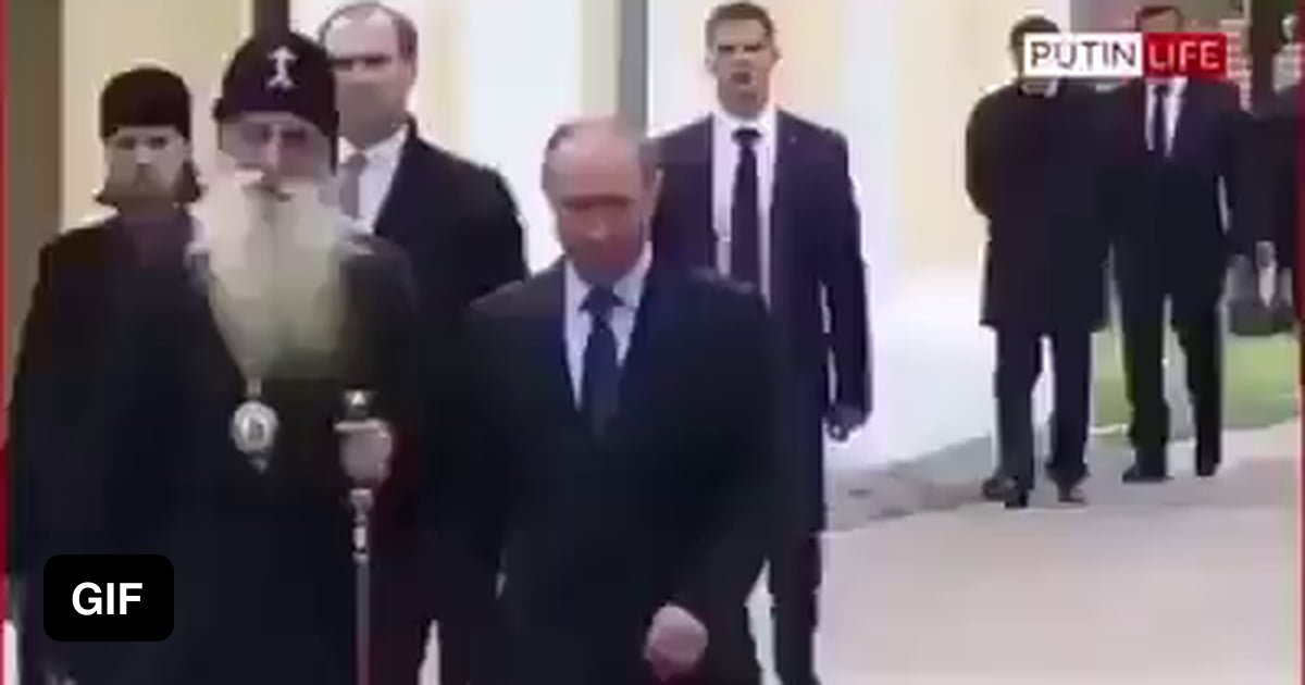 Nothing to see here.. just a pigeon saluting to putin - 9GAG