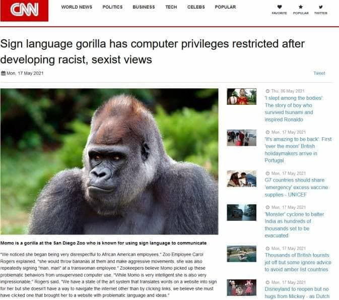 Bad gorilla. - 9GAG