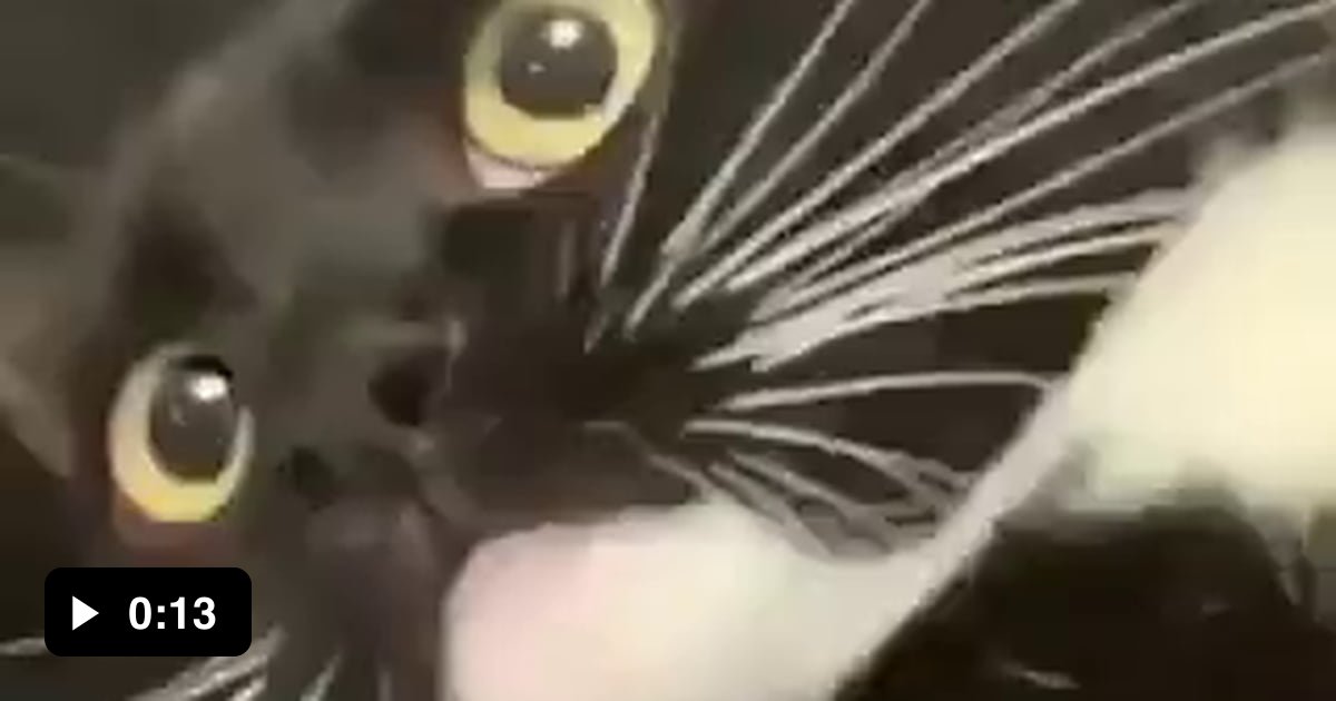 Dark video. Give me your dark memes. - 9GAG