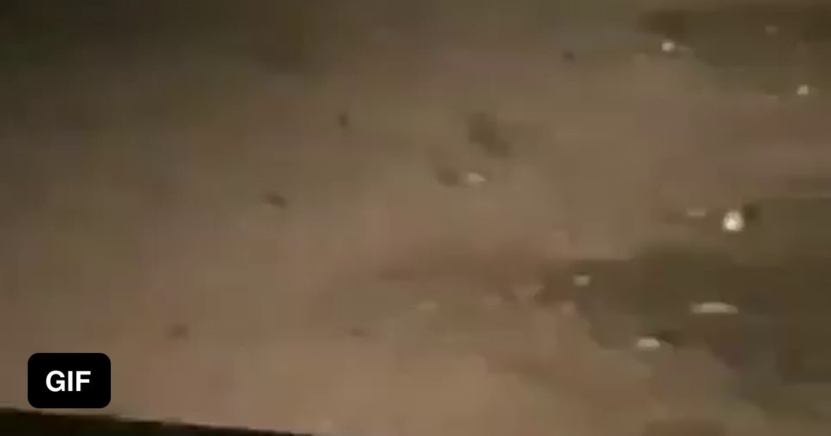 Infestation of mice in eastern Australia - 9GAG