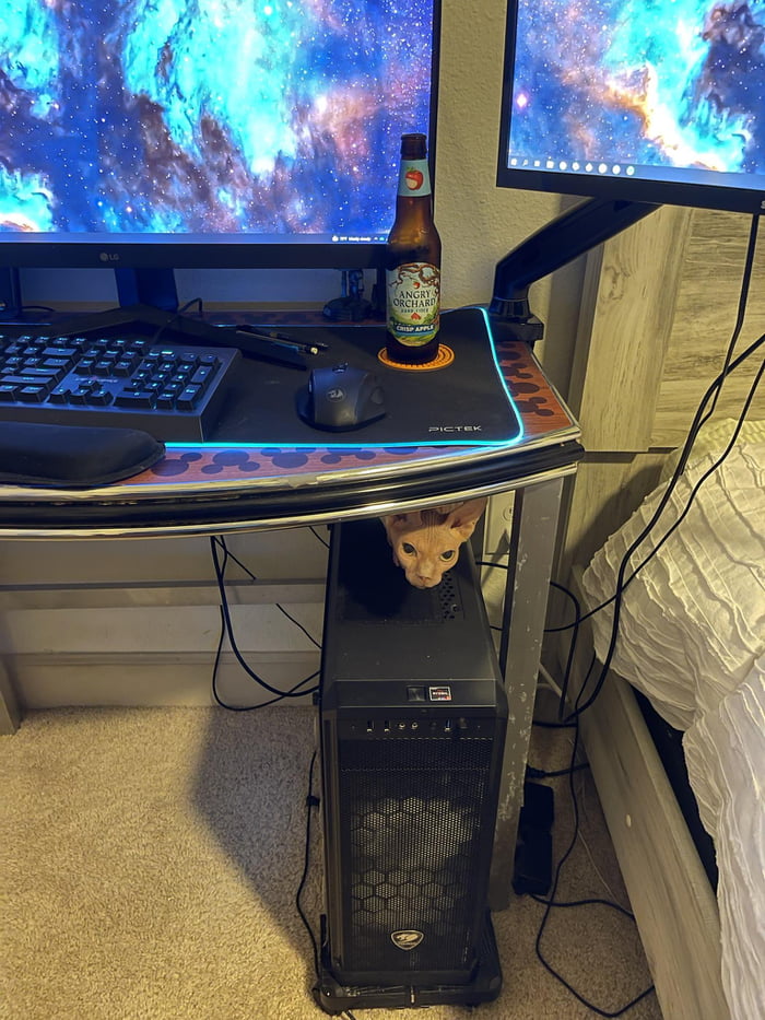 Any tips on keeping a cat off the computer tower? - 9GAG