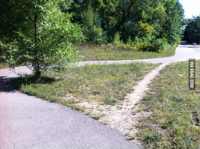 I've realized that humans will inevitably choose the most direct path ...