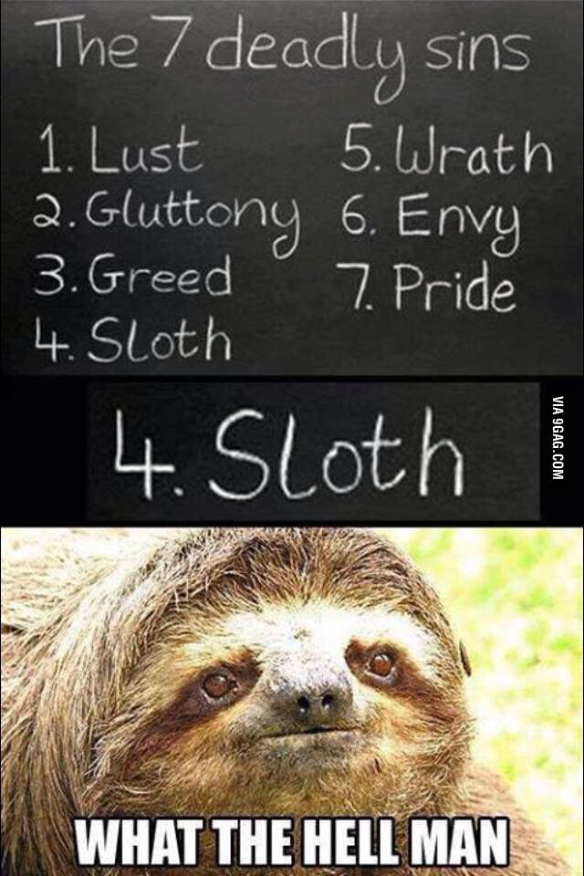 Poor sloth - 9GAG