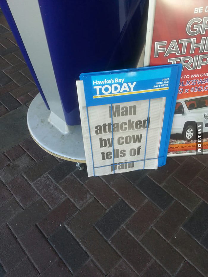 Slow news week in New Zealand... - 9GAG