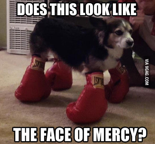 Does This 9GAG Does This 9GAG