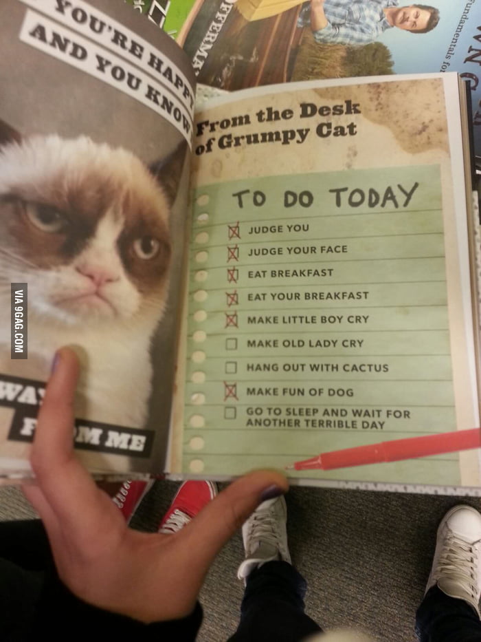 Grumpy Cat strikes again - 9GAG
