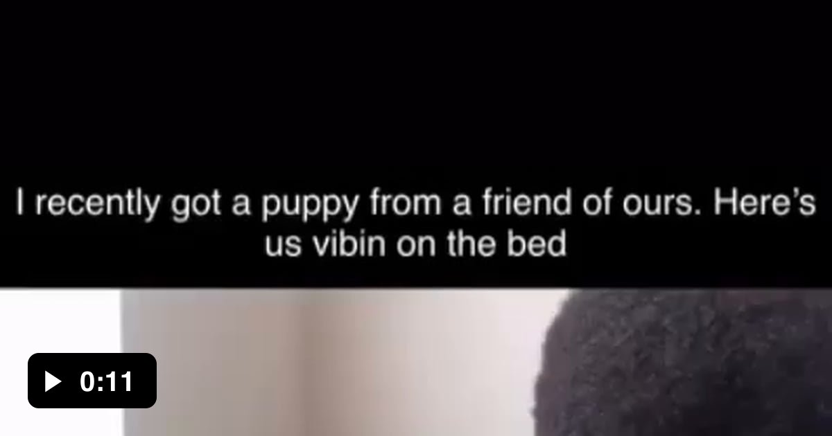 Little pupper got your back, Have a good day. - 9GAG