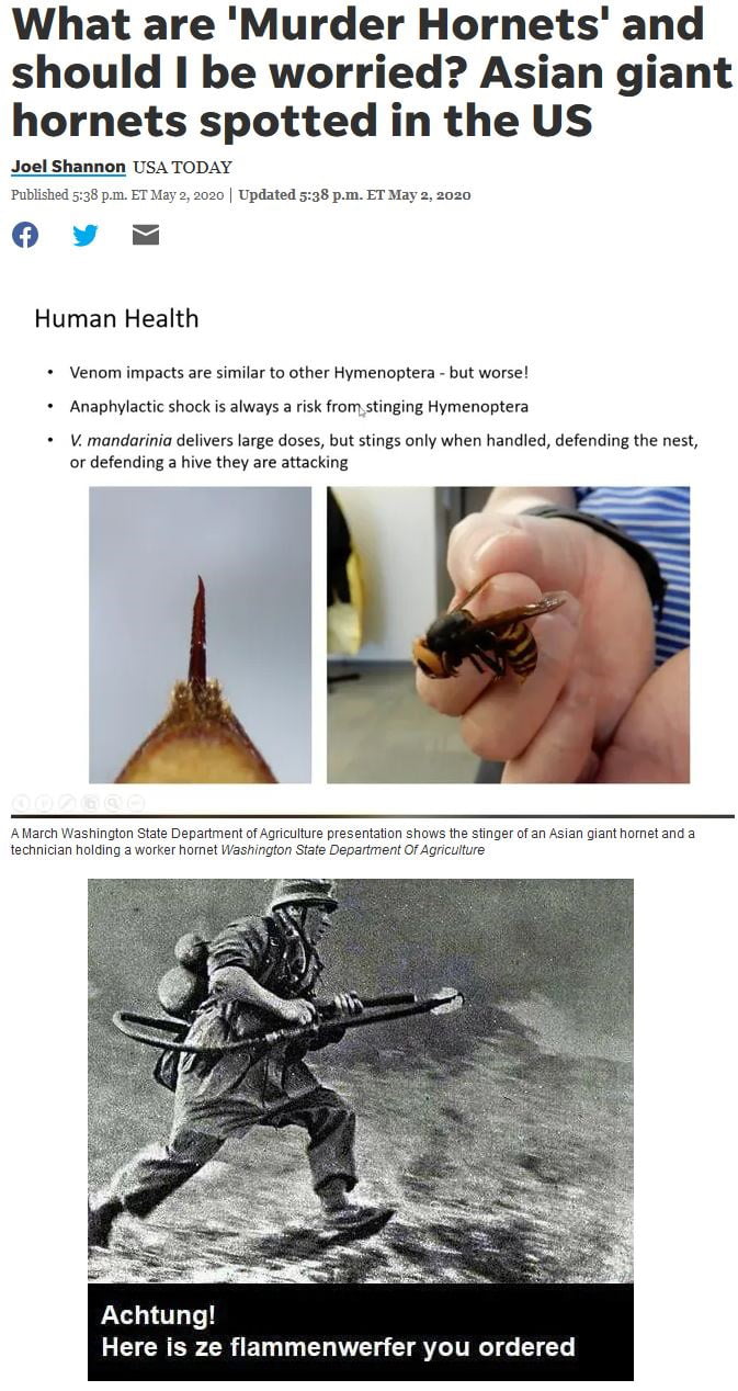 Dammit, 2020... what is wrong with you? - 9GAG