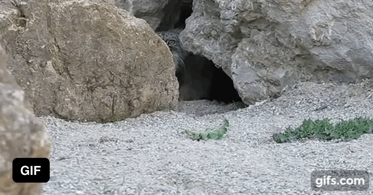 Monday crawling out of my cave to figure out where the weekend went - 9GAG