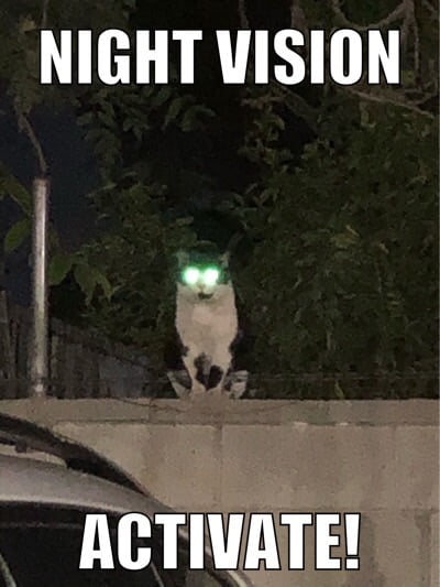 Night Vision Memes