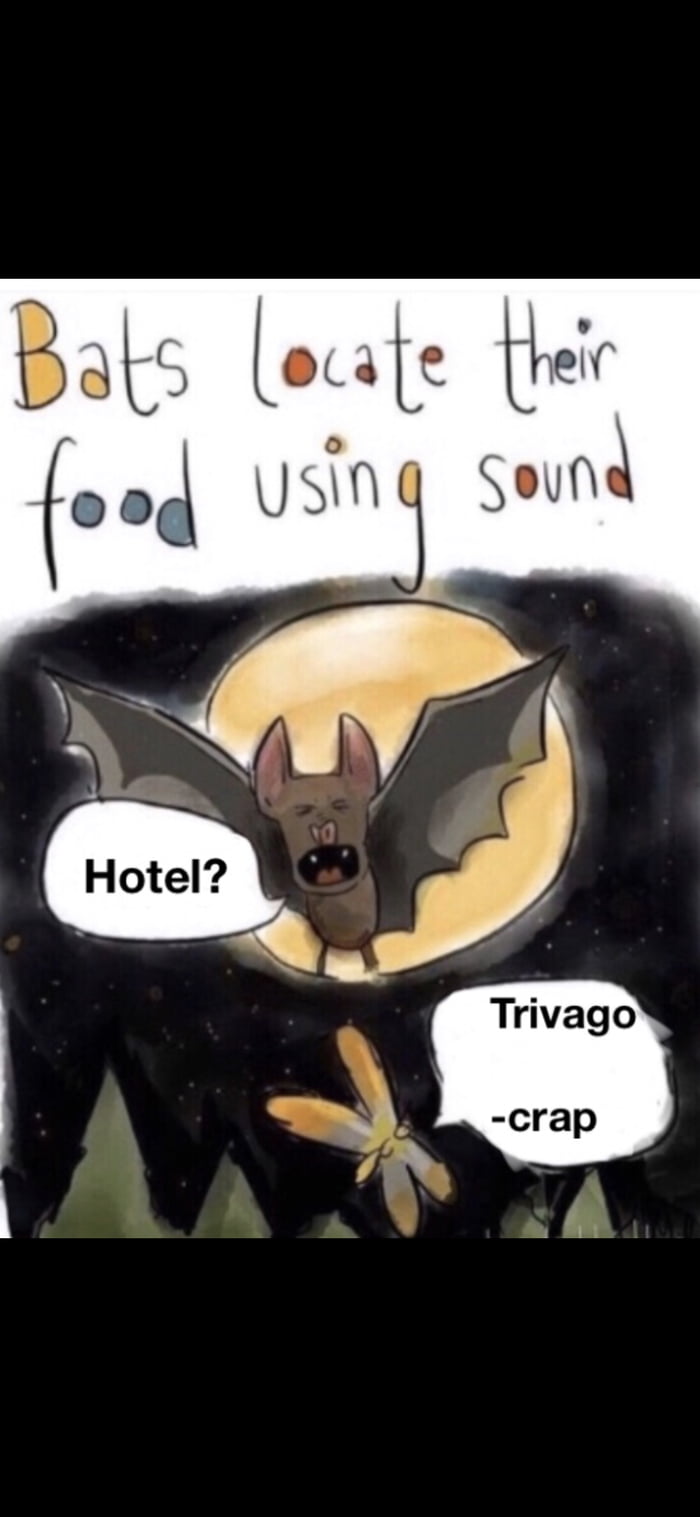 Even the bat has got tricks - 9GAG