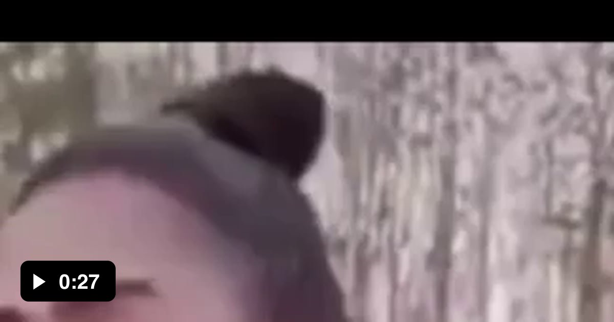 We lost Stephan... - 9GAG